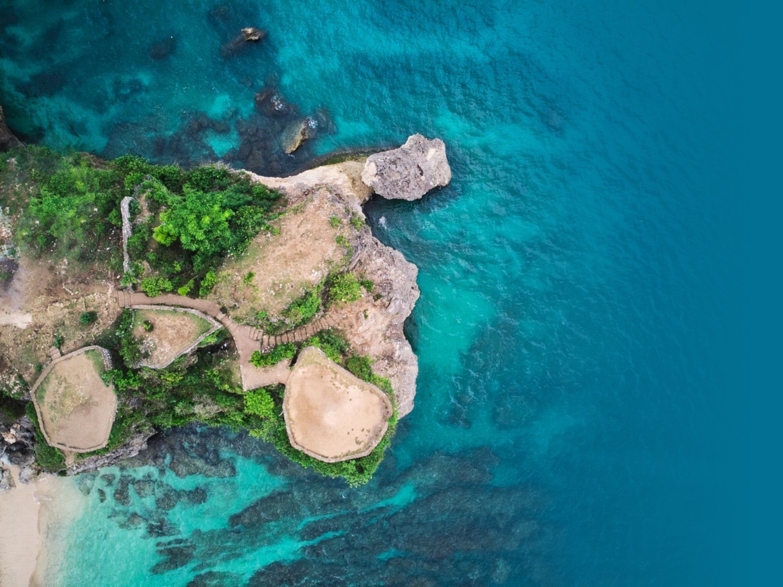 Malayka - eCreo Multimedia Poznań